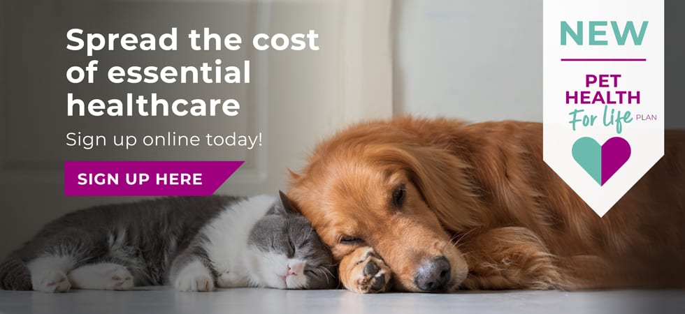 Peak Vets | Your local veterinary practice in Sheffield