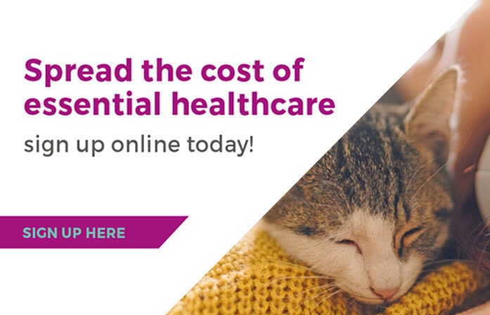 Peak Vets | Your local veterinary practice in Sheffield